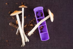 How Much Do Shrooms Cost? Magic Mushrooms Prices, and Risks